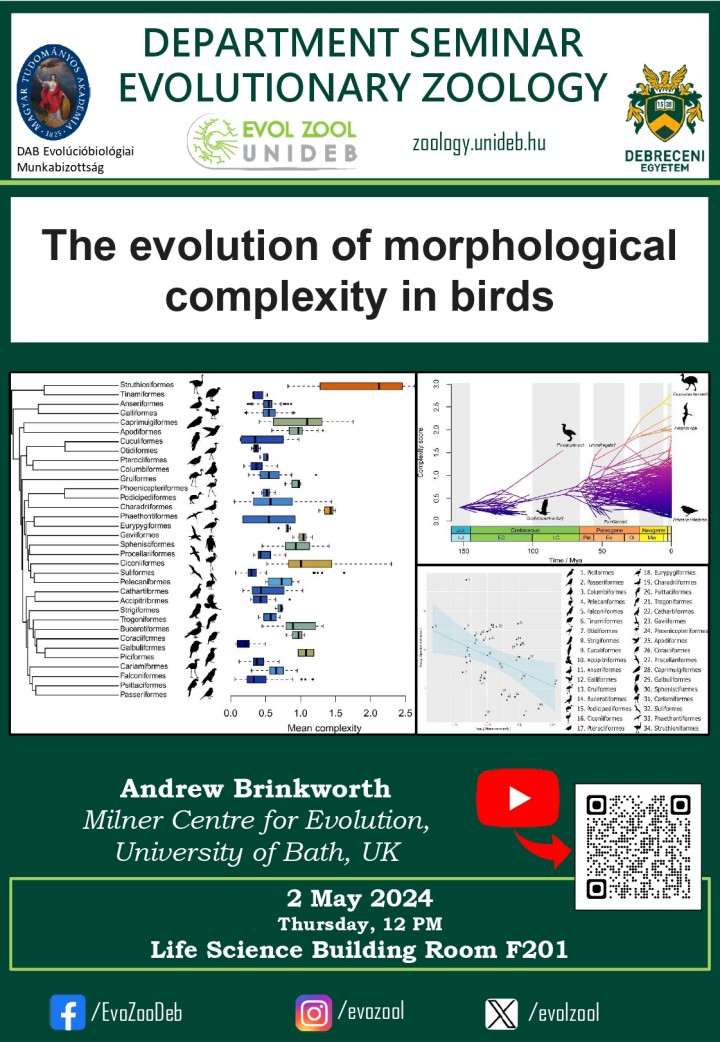 The evolution of morphological complexity in birds | Institute of Biology and Ecology